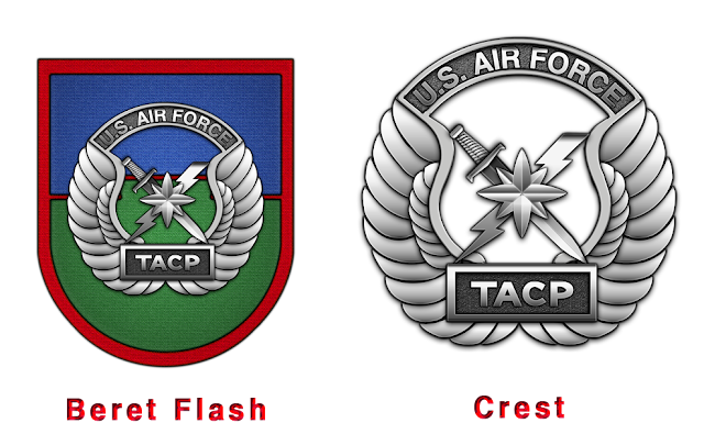 Military Insignia 3D : USAF Tactical Air Control Party: Flash & Crest